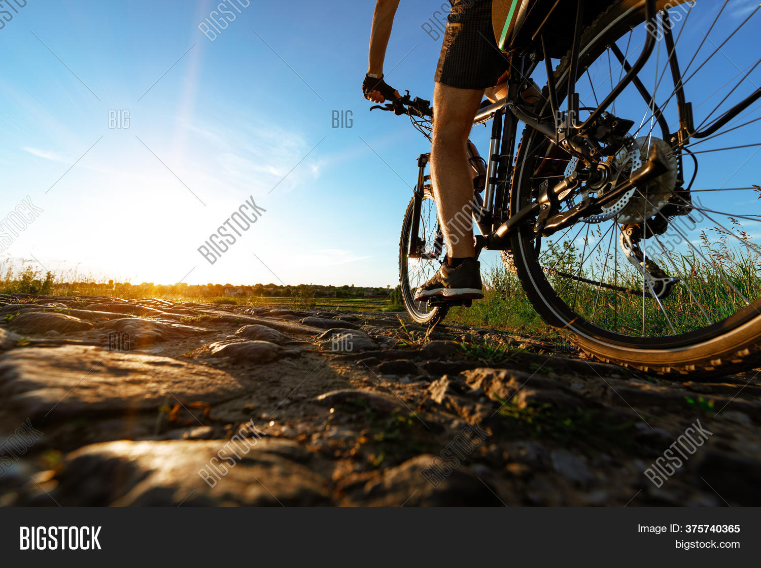 Back View Man Bicycle Image & Photo (Free Trial) | Bigstock