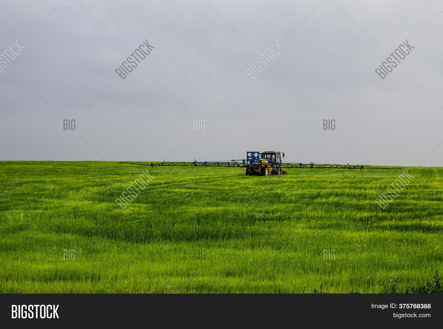 Green Agricultural Image & Photo (Free Trial) | Bigstock