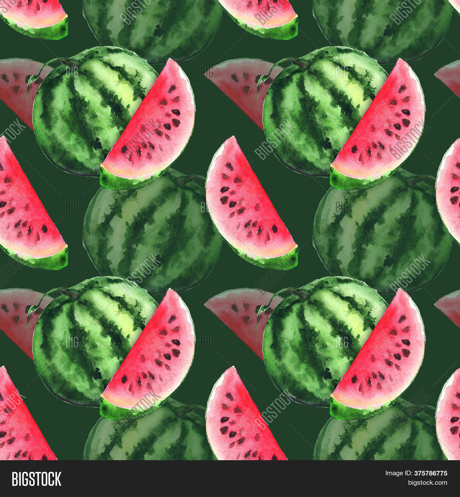 Watercolor Watermelon Image & Photo (Free Trial) | Bigstock