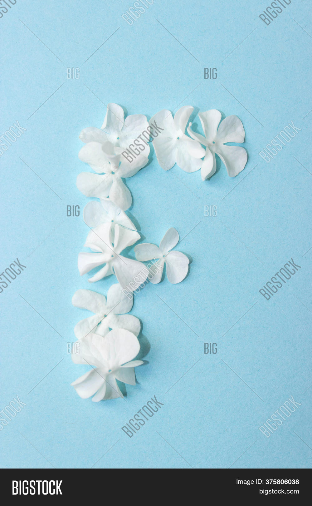 Flower Alphabet - F. Image & Photo (Free Trial) | Bigstock