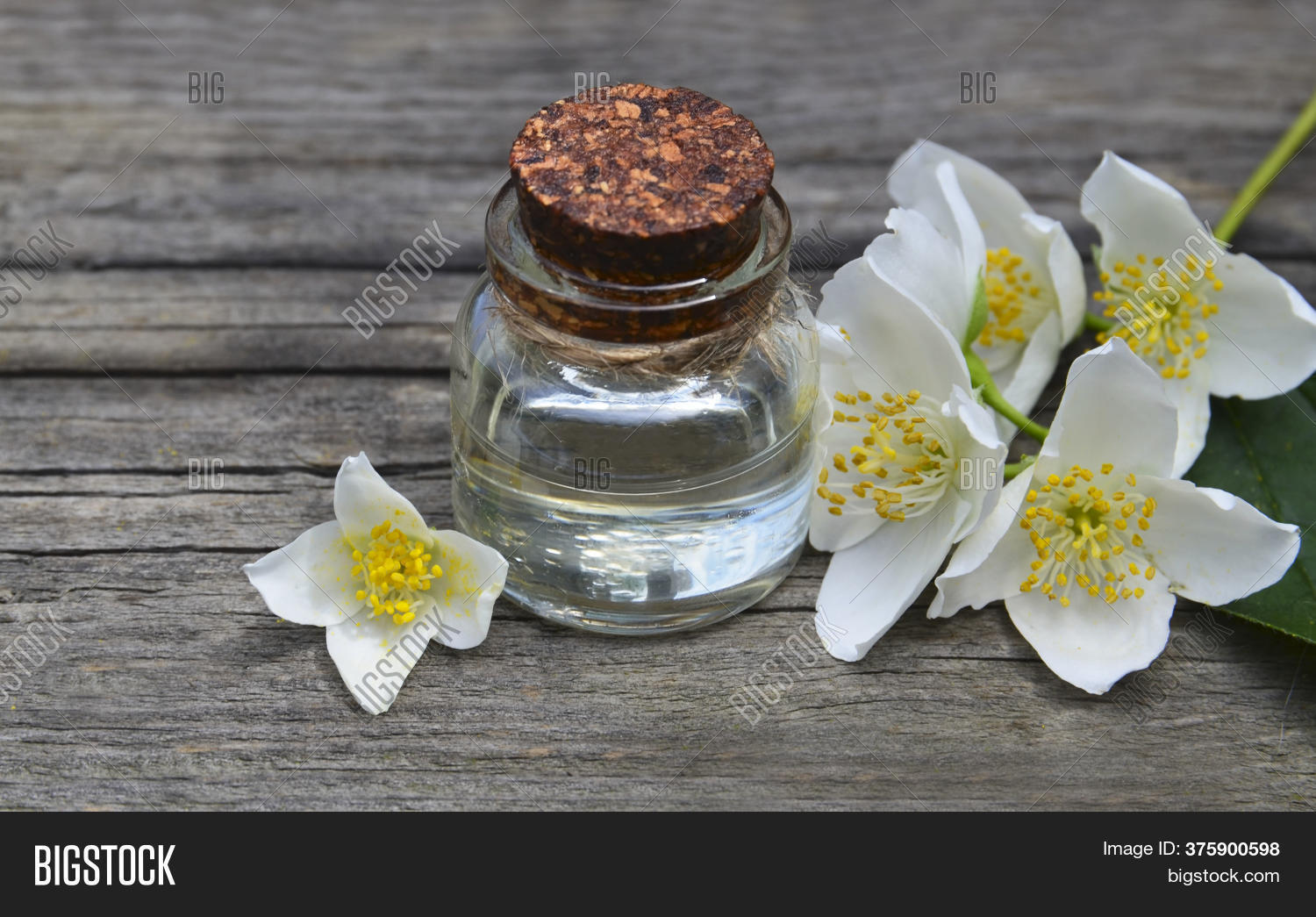 Jasmine Essential Oil Image & Photo (Free Trial) | Bigstock