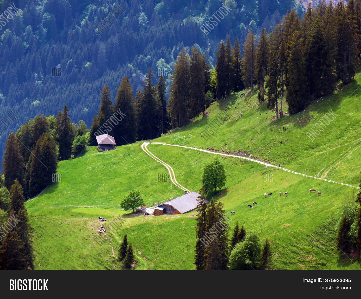 Alpine Pastures Image & Photo (Free Trial) | Bigstock