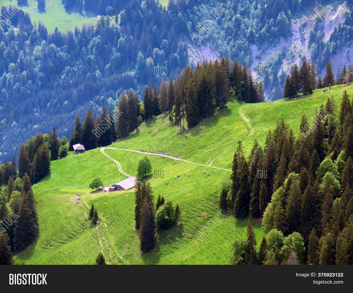 Alpine Pastures Image & Photo (Free Trial) | Bigstock