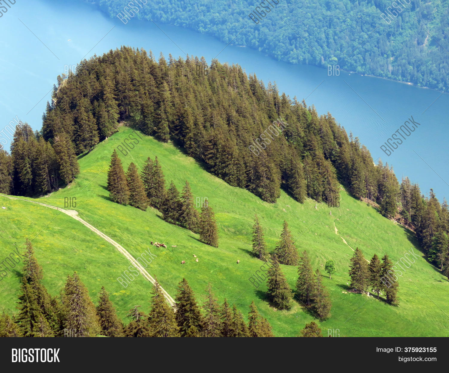 Alpine Pastures Image & Photo (Free Trial) | Bigstock