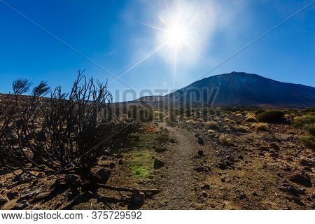 Teide National Park, Image & Photo (Free Trial) | Bigstock
