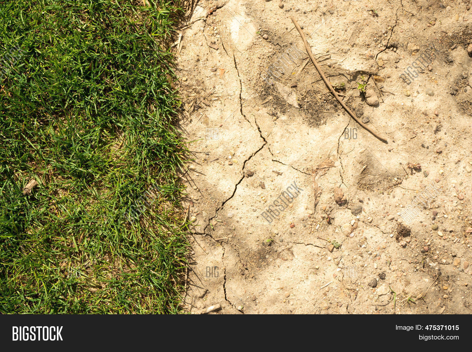 Two Textures One Photo Image & Photo (Free Trial) | Bigstock