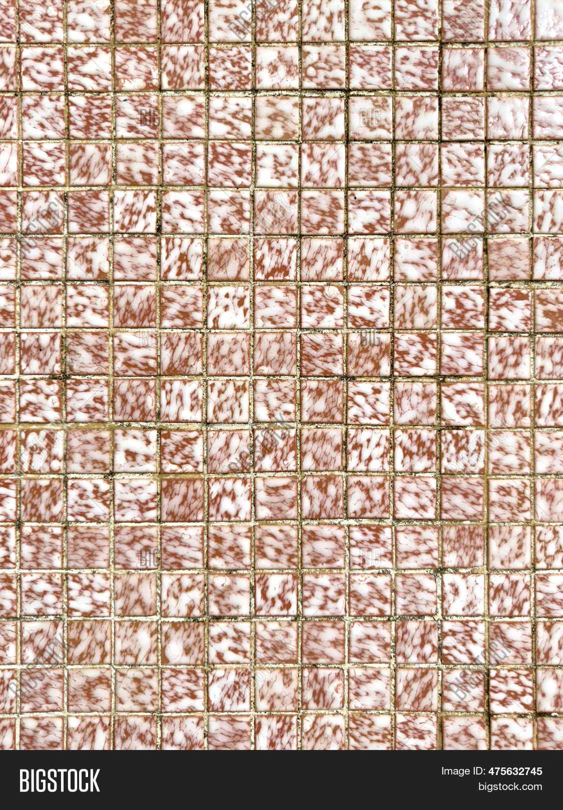 Tile Texture Image & Photo (Free Trial) | Bigstock