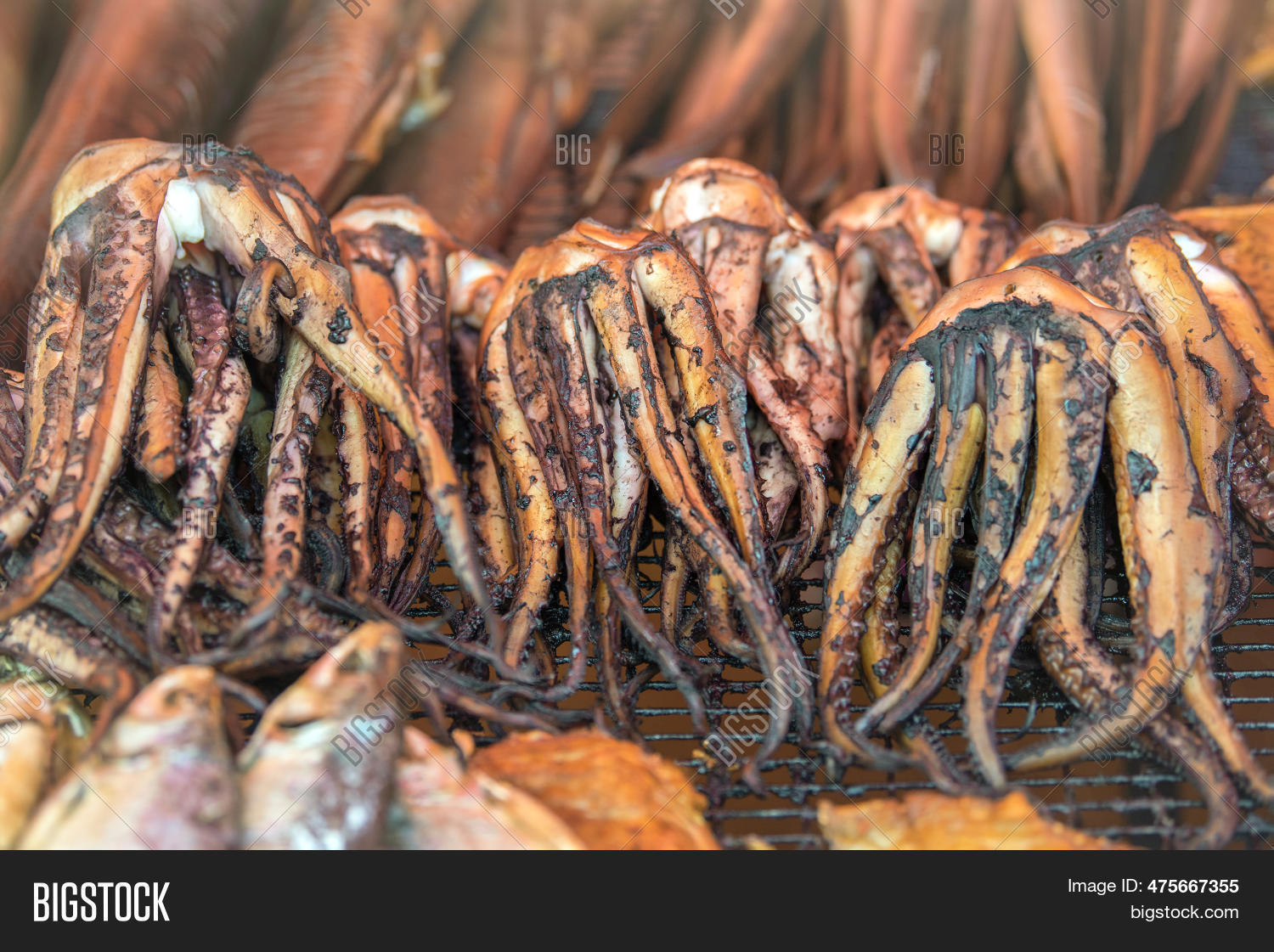 Squid Smoked Other Image & Photo (Free Trial) | Bigstock