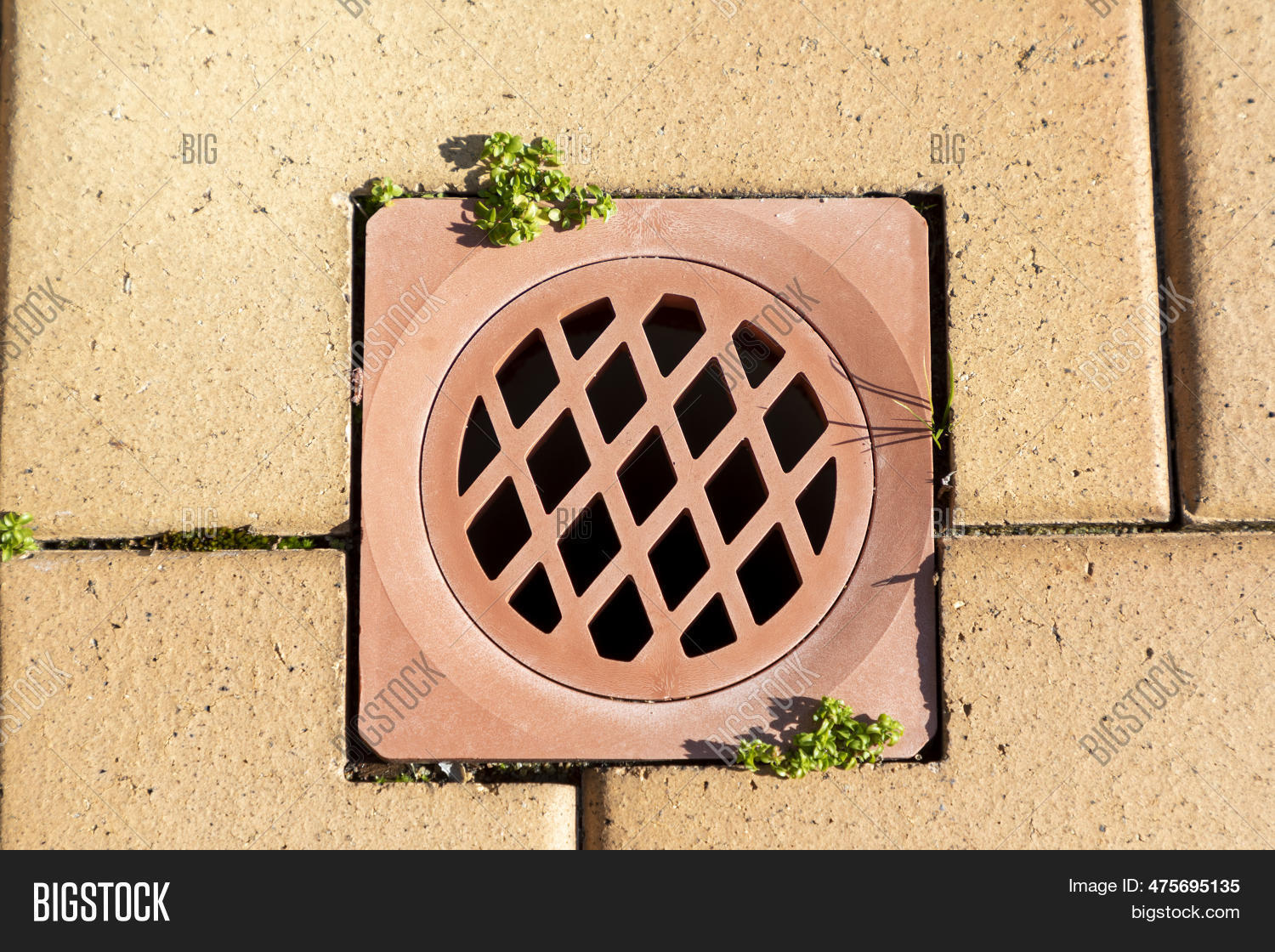 Stormwater Drain Cover Image & Photo (Free Trial) | Bigstock