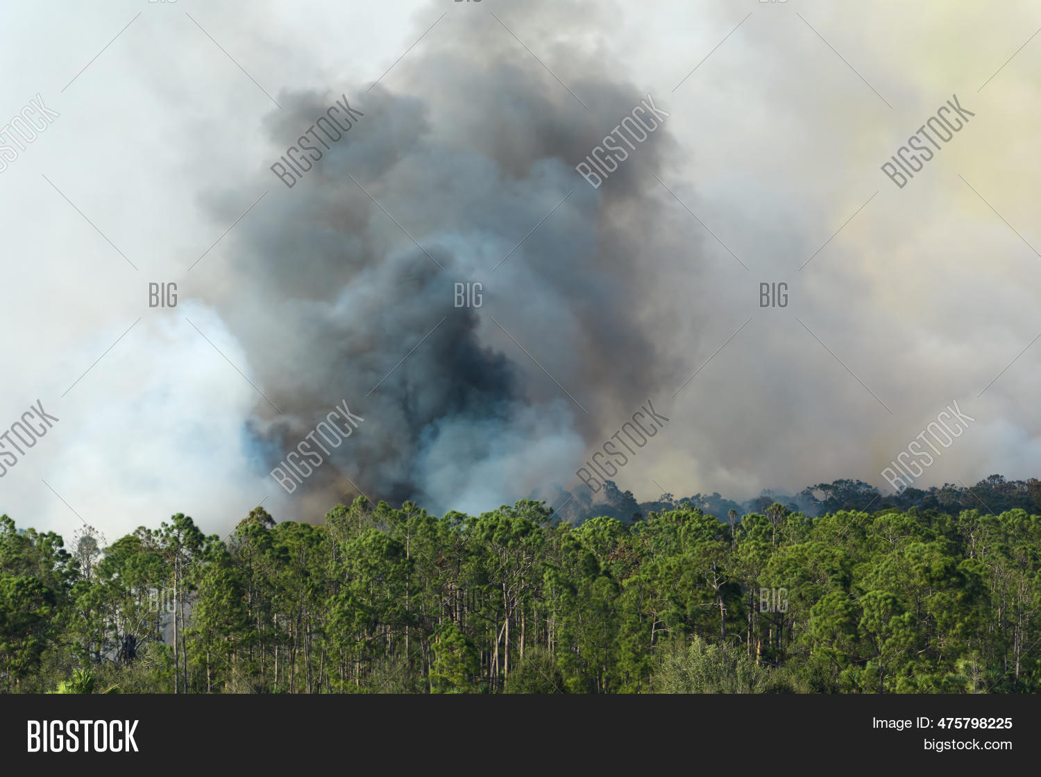 Aerial View Large Image & Photo (Free Trial) | Bigstock