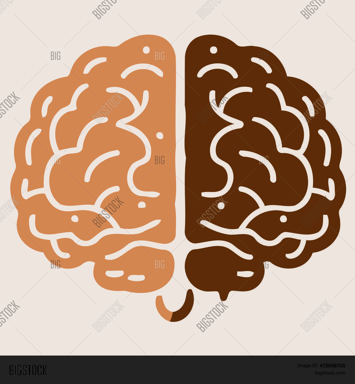 Human Brain Nervous Vector & Photo (Free Trial) | Bigstock