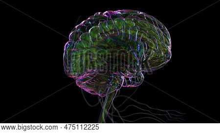Brain Cells Images, Illustrations & Vectors (Free) - Bigstock