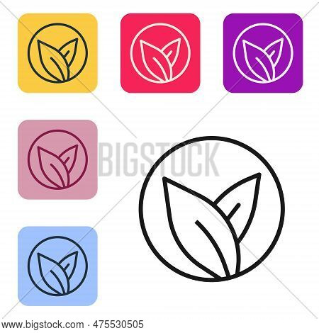 Black Tea Leaves Vector