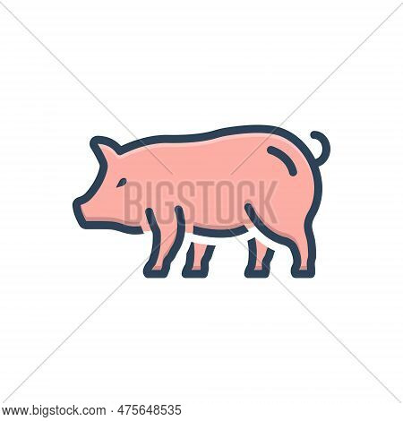 Color Illustration Image & Photo (Free Trial) | Bigstock