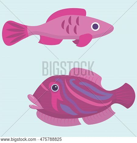 Simple Pink Fish Vector & Photo (Free Trial) | Bigstock