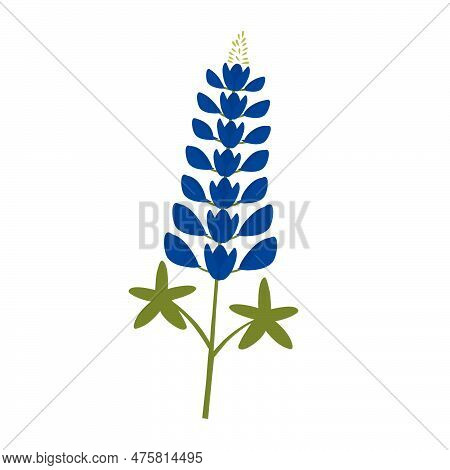 Bluebonnet Images, Illustrations & Vectors (Free) - Bigstock