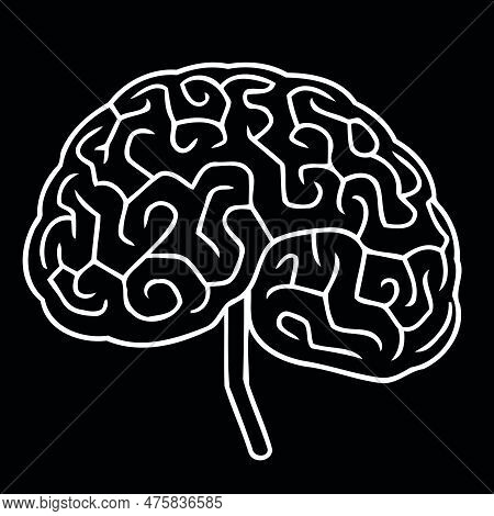 Human Brain Nervous Vector & Photo (Free Trial) | Bigstock
