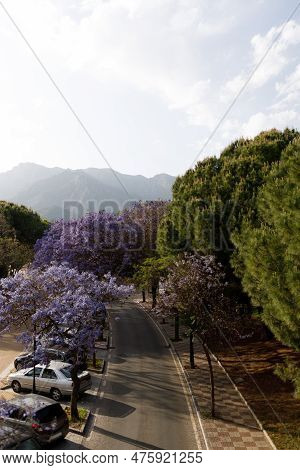 Purple Pathways Images, Illustrations & Vectors (Free) - Bigstock