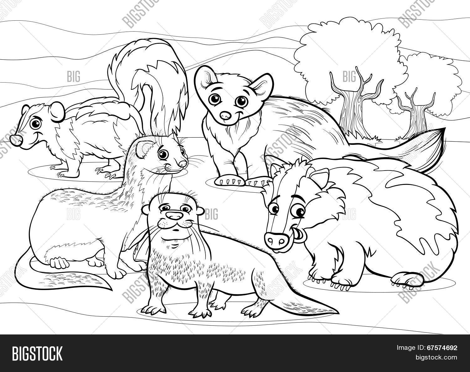 Mustelids Animals Vector & Photo (Free Trial) | Bigstock