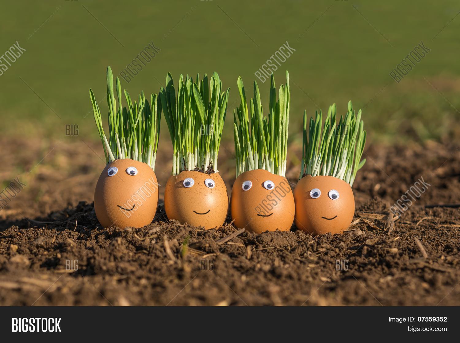 Happy Egg Family Image & Photo (Free Trial) | Bigstock