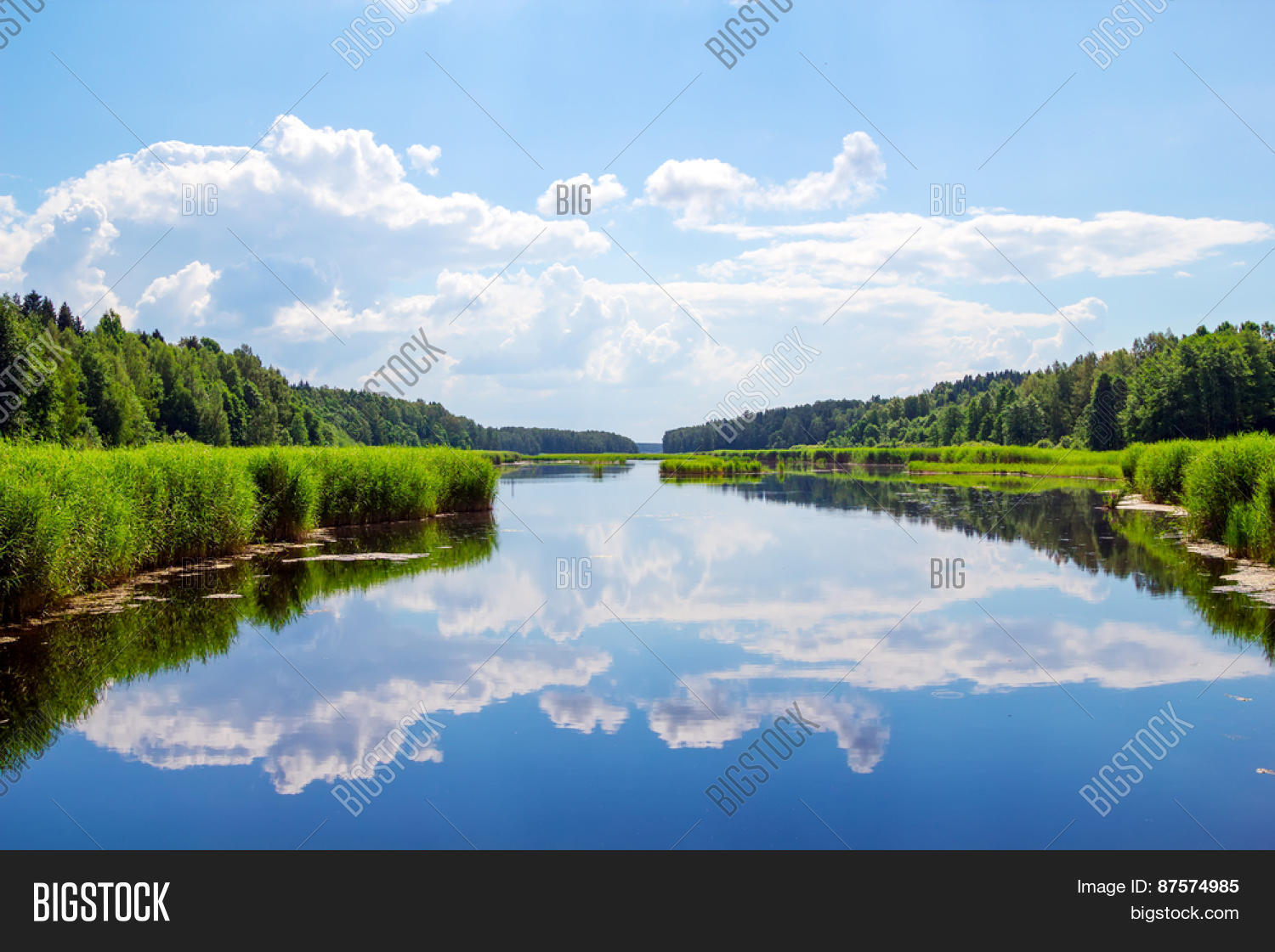 Forest River Landscape Image & Photo (Free Trial) | Bigstock