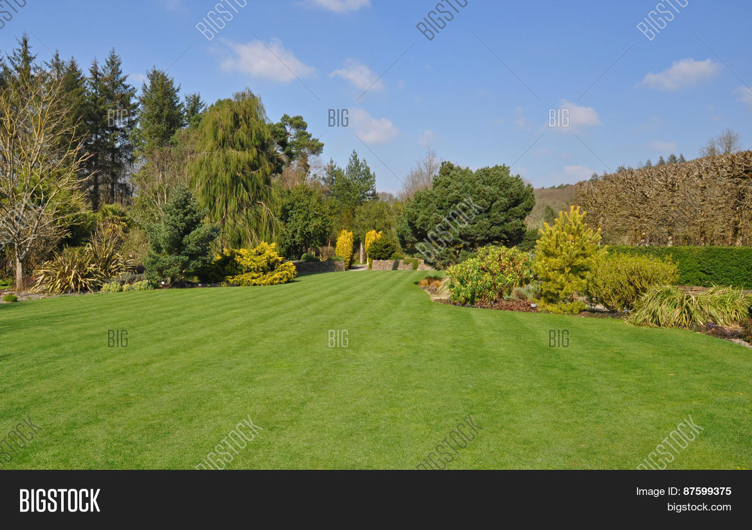 Perfect Lawn Image & Photo (Free Trial) | Bigstock
