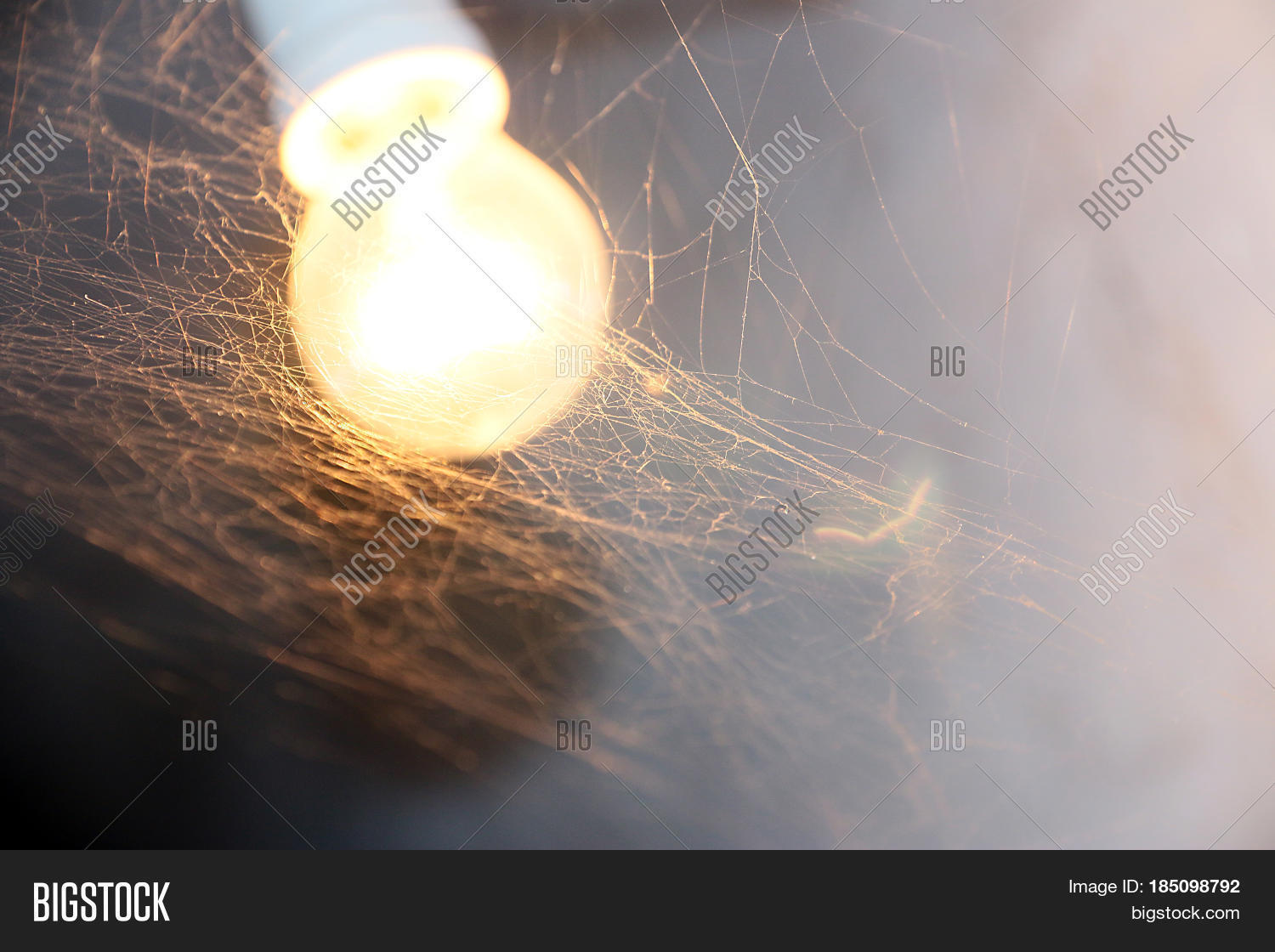 Bright Light Lamp Image & Photo (Free Trial) | Bigstock