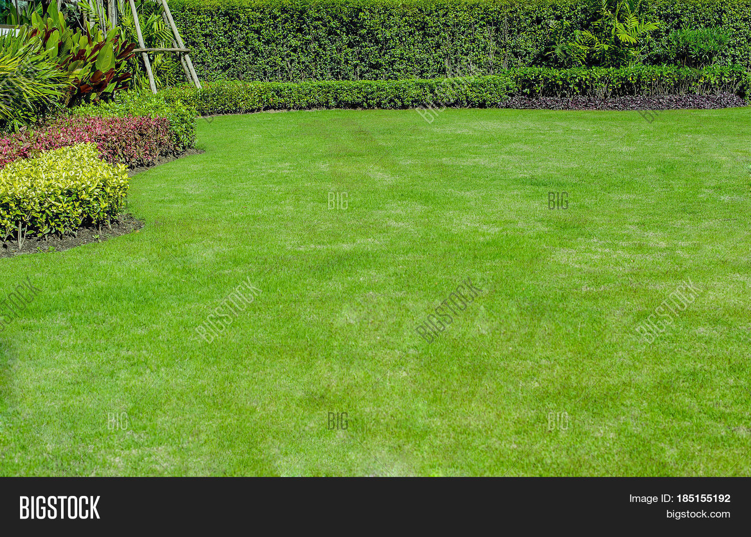 Green Lawn, Front Lawn Image & Photo (Free Trial) | Bigstock