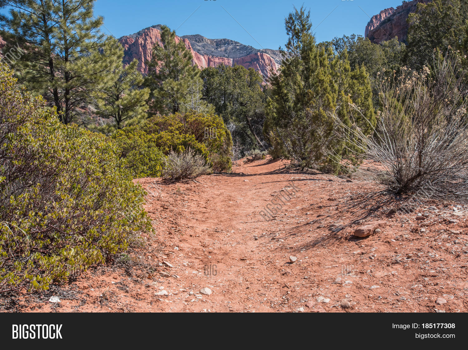 Desert Hiking Trail Image & Photo (Free Trial) | Bigstock