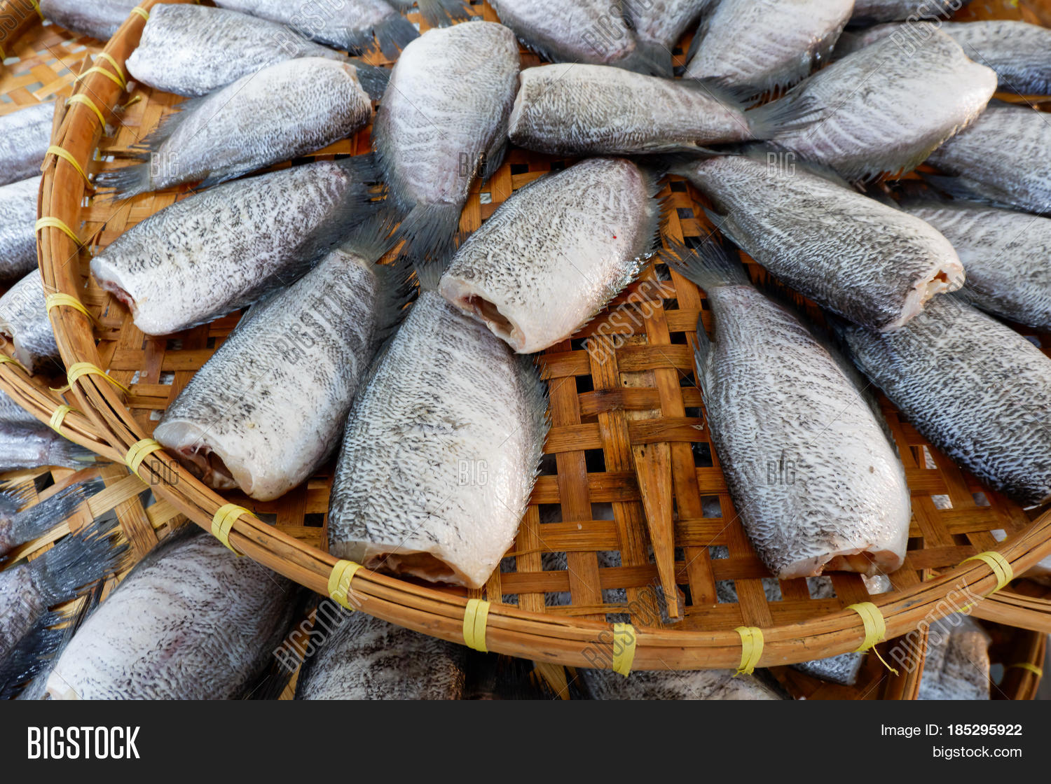 Snakeskin Gourami Fish Image & Photo (Free Trial) | Bigstock