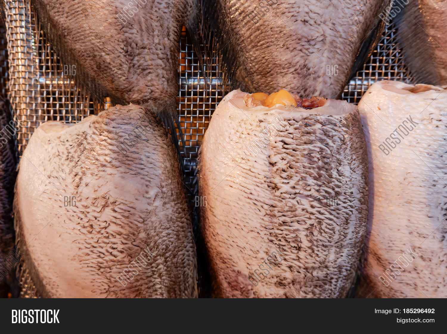 Snakeskin Gourami Fish Image & Photo (Free Trial) | Bigstock