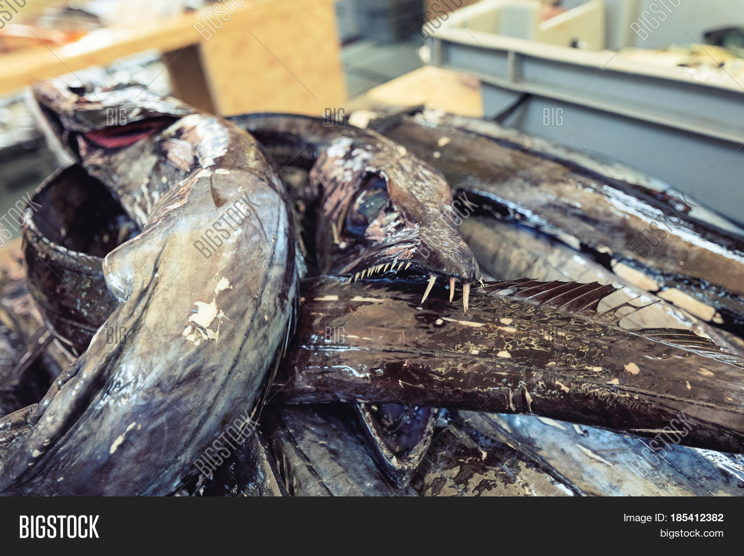 Black Scabbardfish Image & Photo (Free Trial) | Bigstock