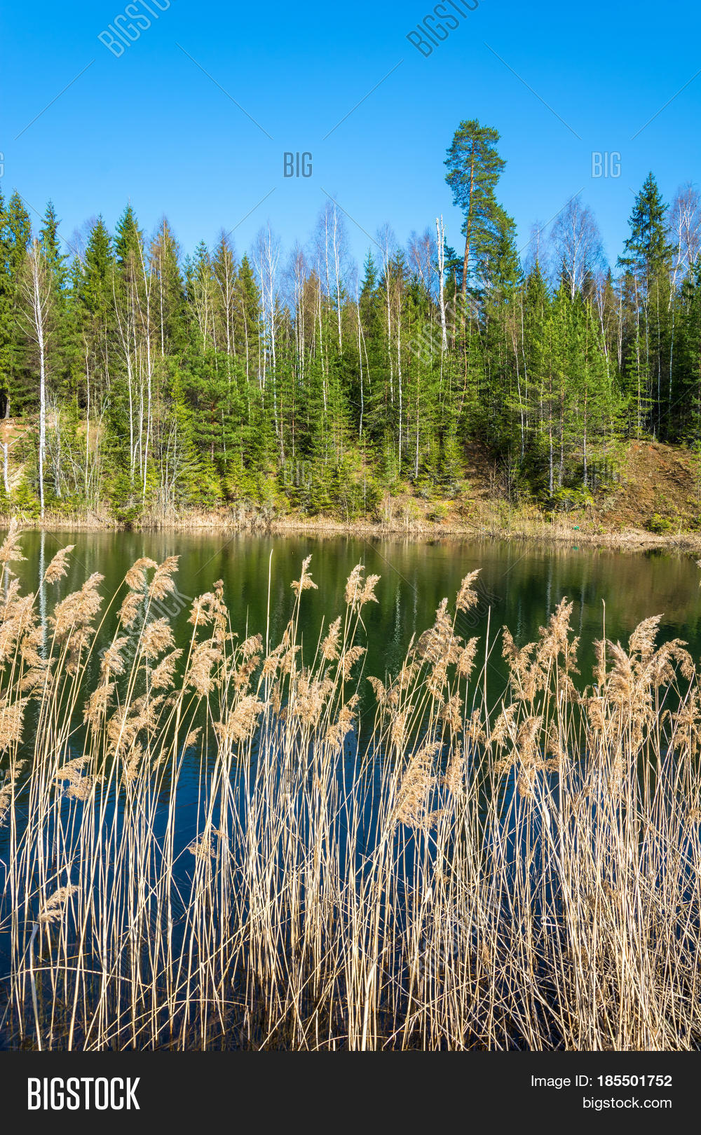 Small Forest Lake Image & Photo (Free Trial) | Bigstock