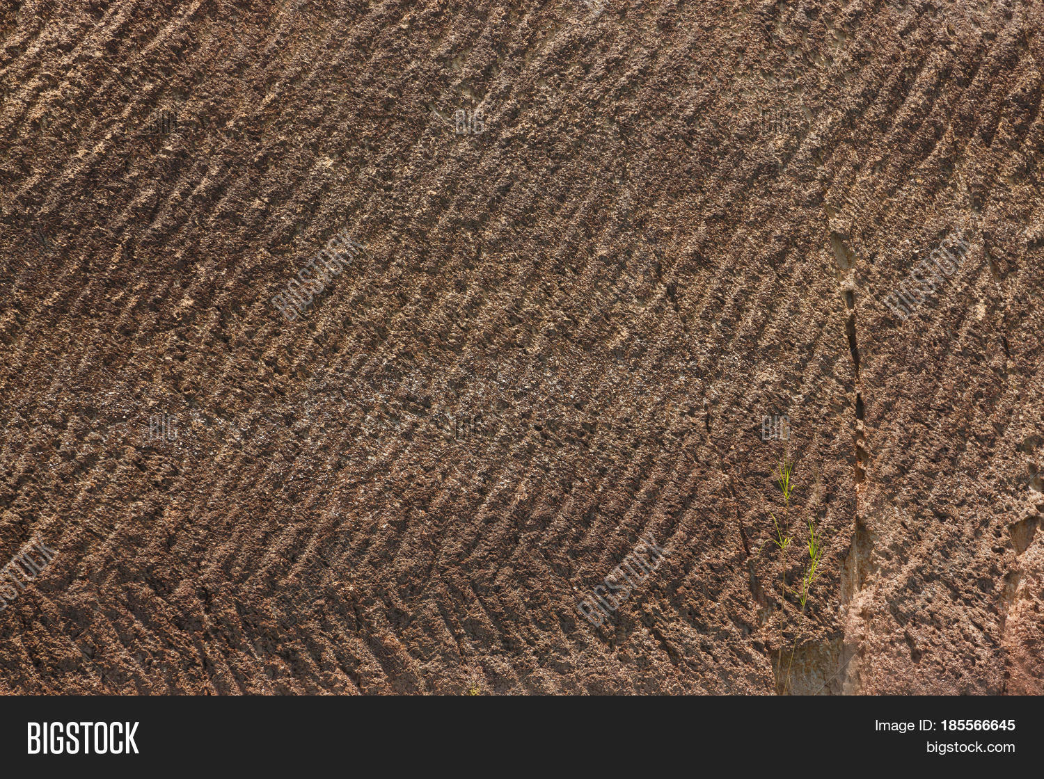 Earth Soil Texture Image & Photo (Free Trial) | Bigstock