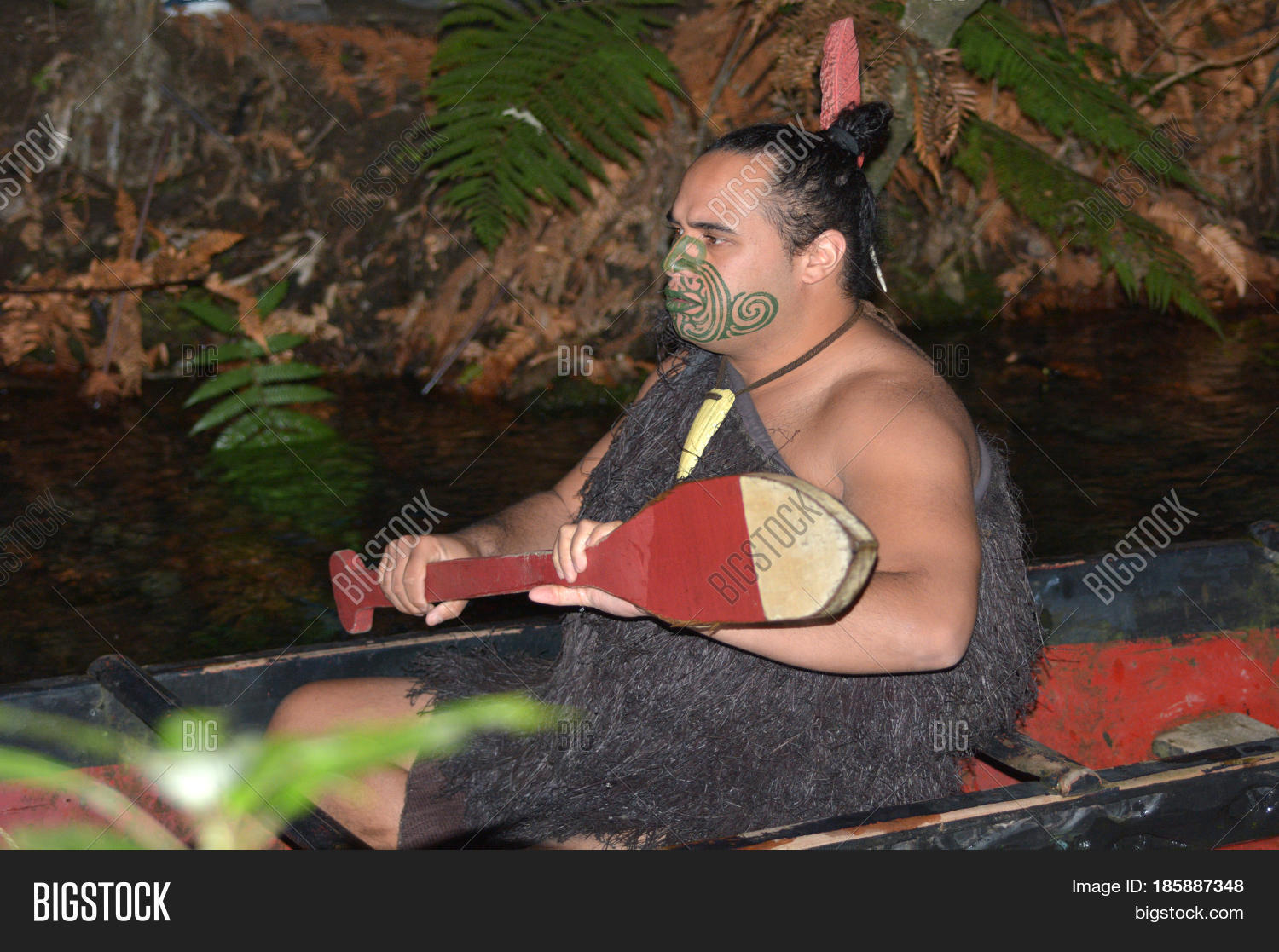 Maori Man Traditional Image & Photo (Free Trial) | Bigstock