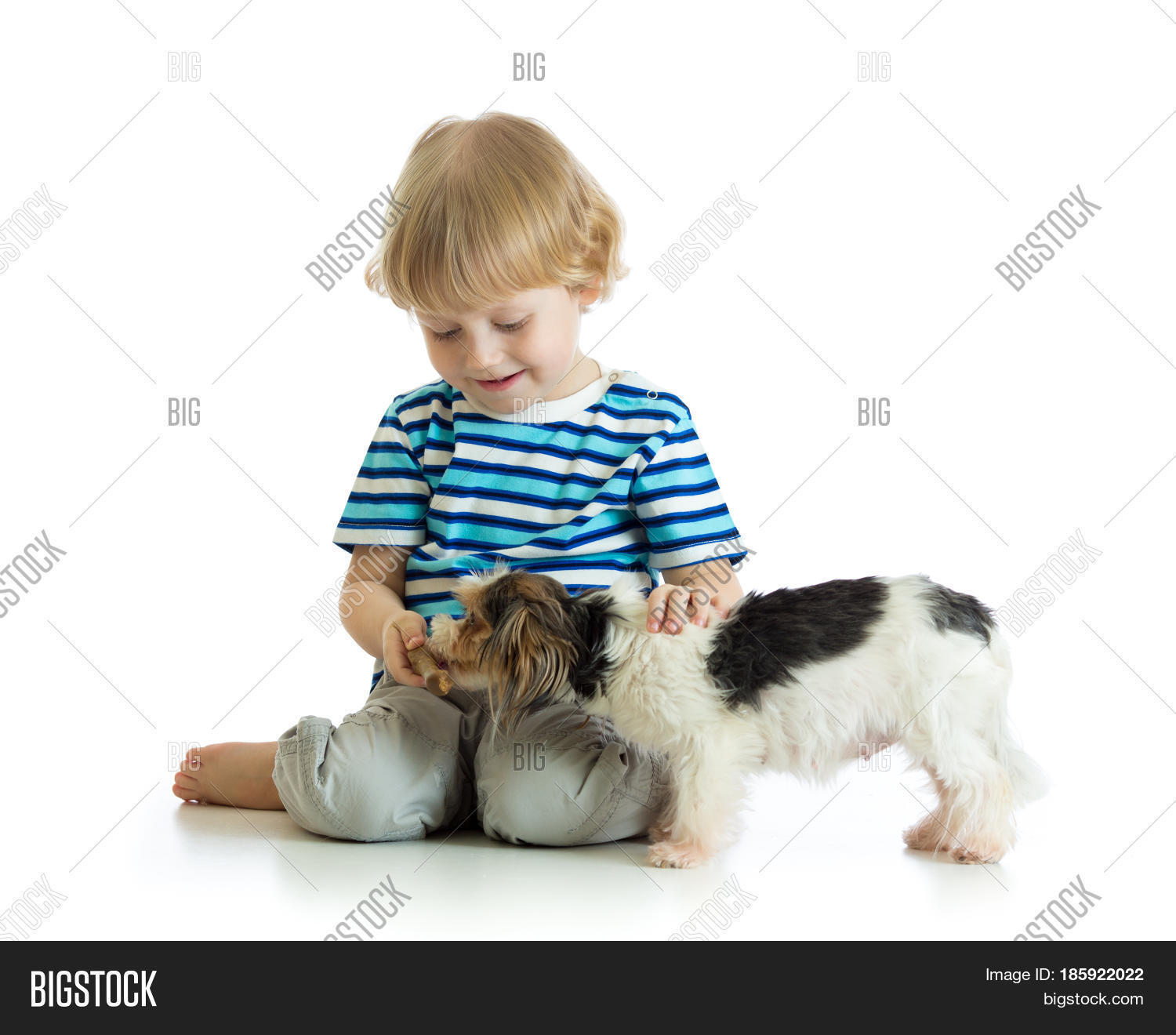 Child Boy Feeds Dog Image & Photo (Free Trial) | Bigstock