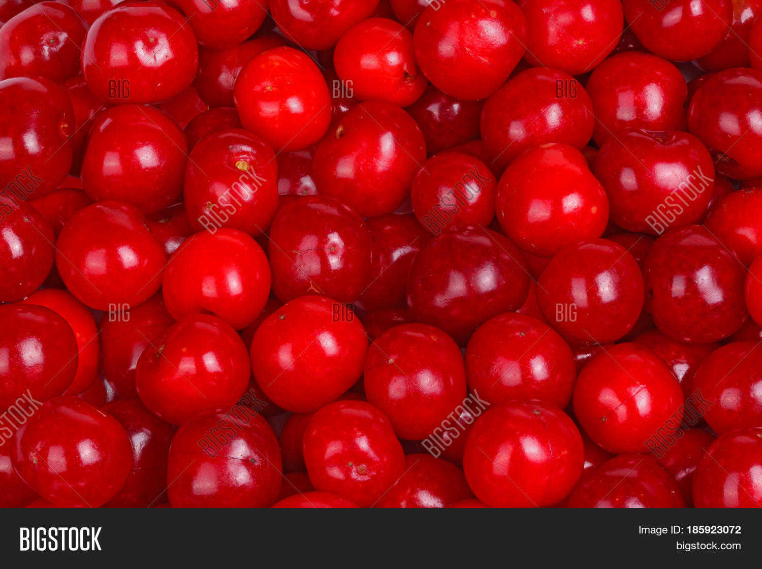 Numerous Ripe Red Image & Photo (Free Trial) | Bigstock
