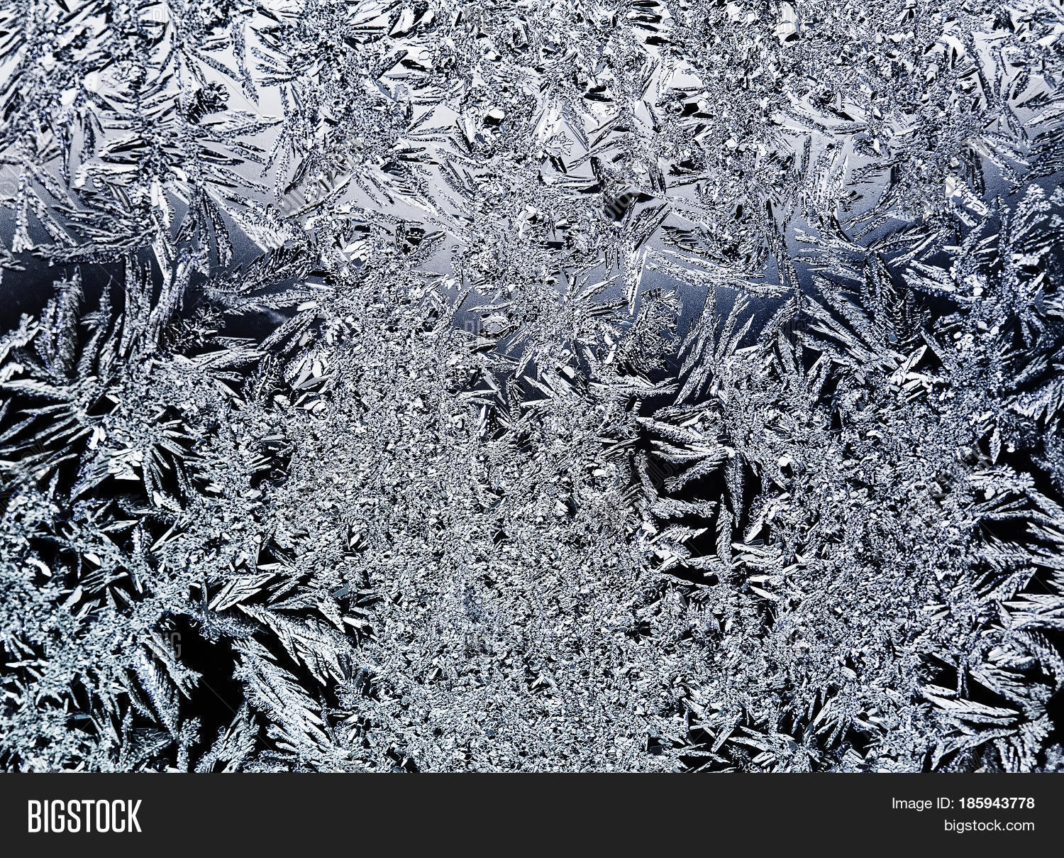 Beautiful Frosty Image & Photo (Free Trial) | Bigstock