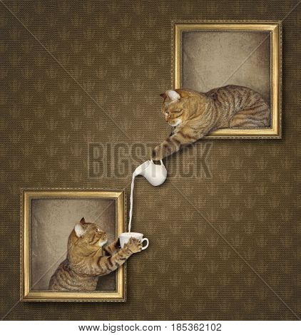 Cat Pouring Cup Milk Image & Photo (Free Trial) | Bigstock