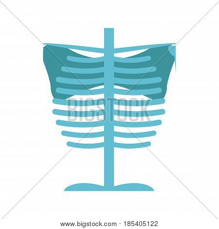 Bone Chest Anatomy Vector & Photo (Free Trial) | Bigstock