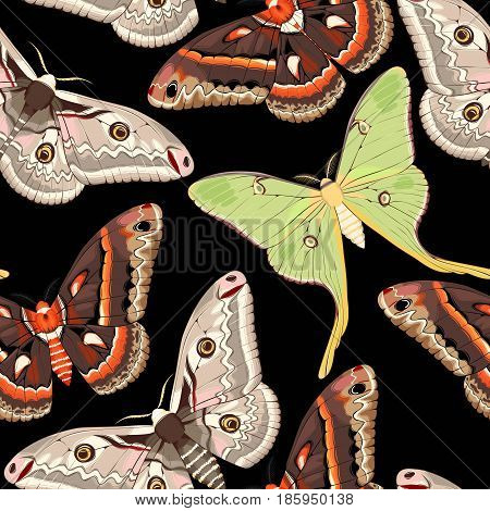 Flying Moths Vector & Photo (Free Trial) | Bigstock