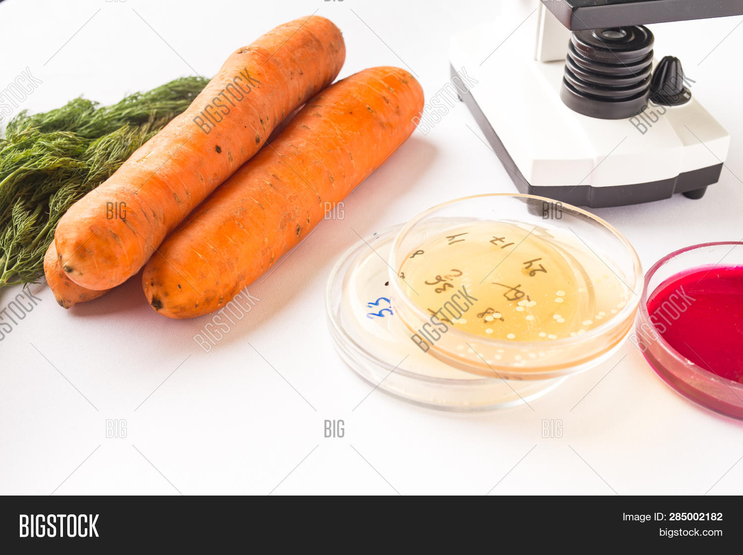 Testing Raw Vegetables Image & Photo (Free Trial) | Bigstock
