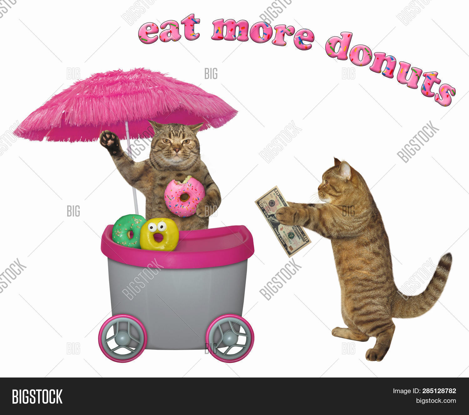Funny Cat Buys Donuts Image & Photo (Free Trial) | Bigstock