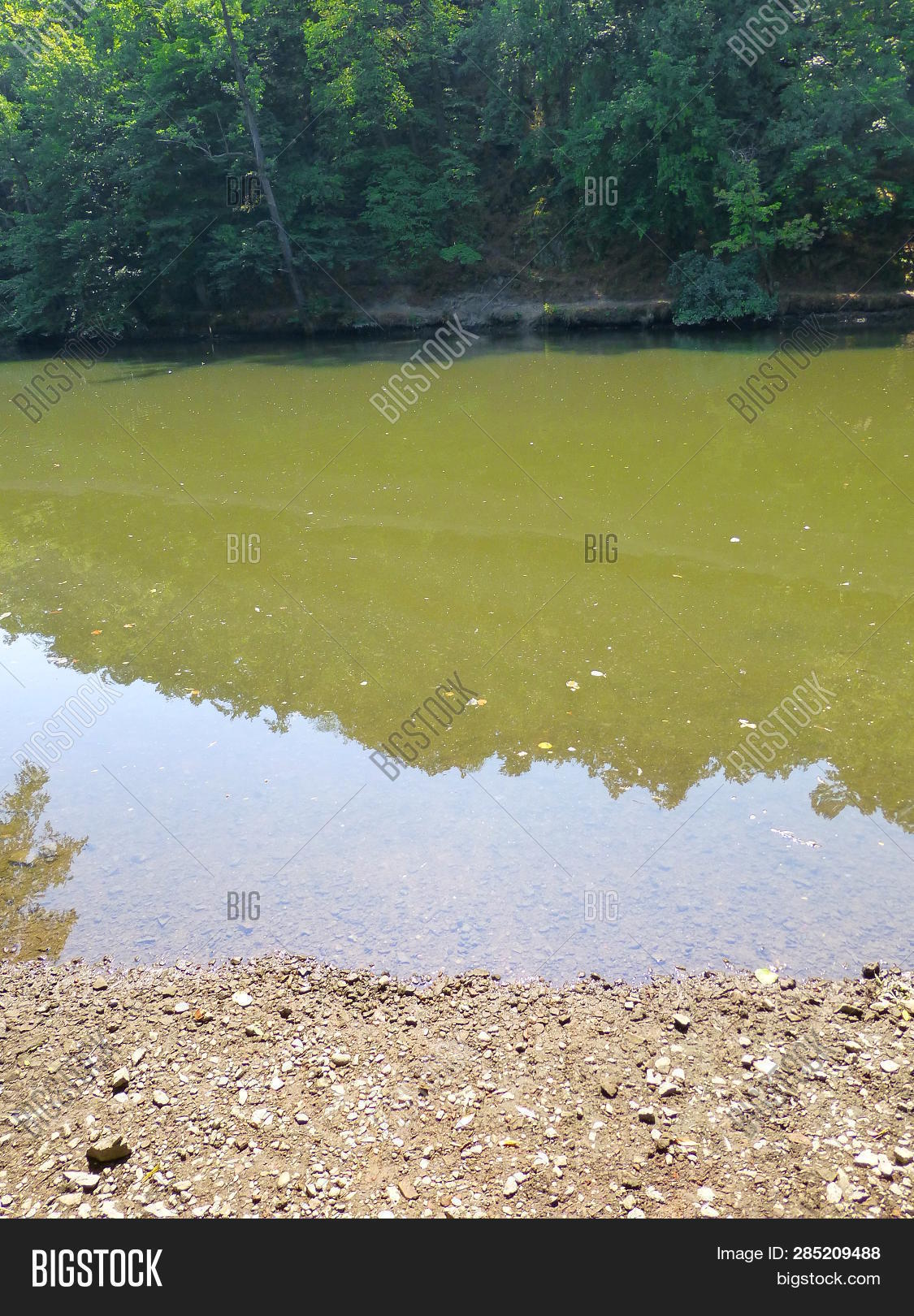 Photo Murky River Next Image & Photo (Free Trial) | Bigstock