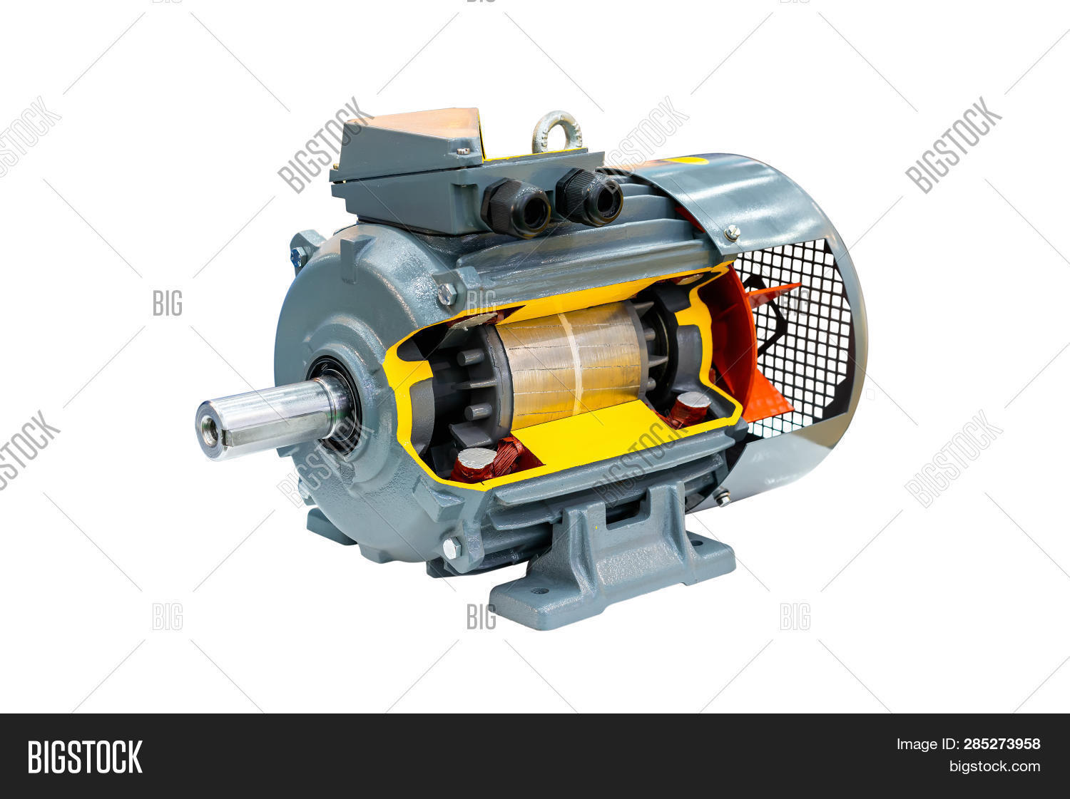 Cross Section Detail Image & Photo (Free Trial) | Bigstock