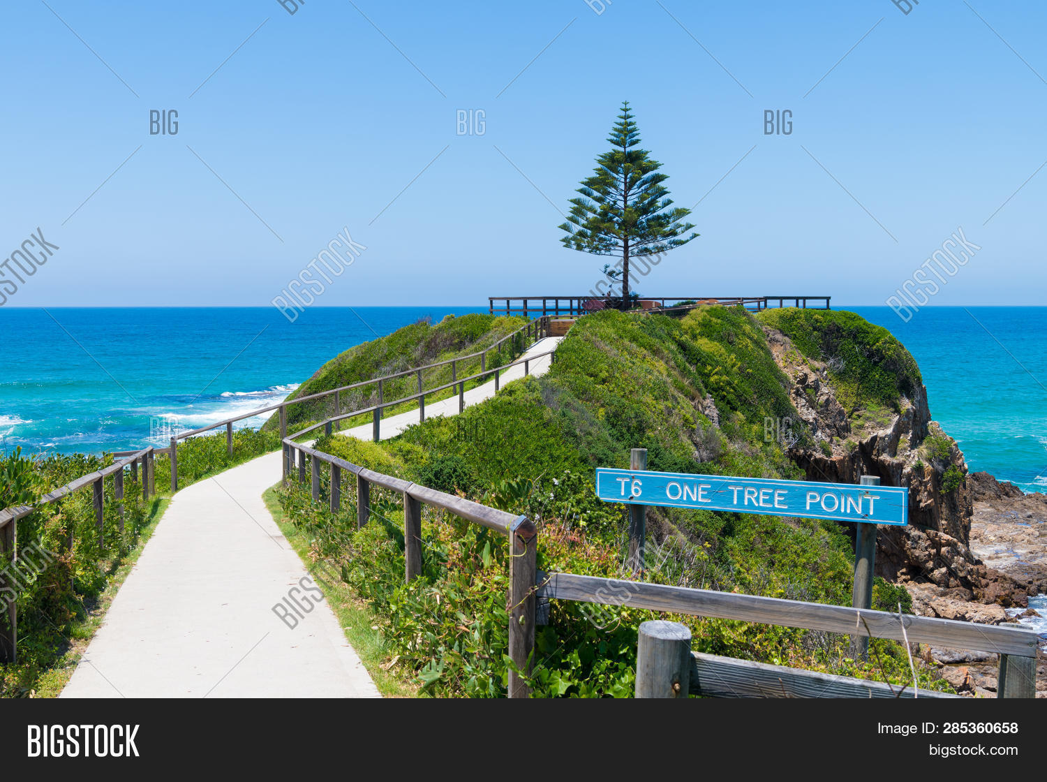 View Over One Tree Image & Photo (Free Trial) | Bigstock