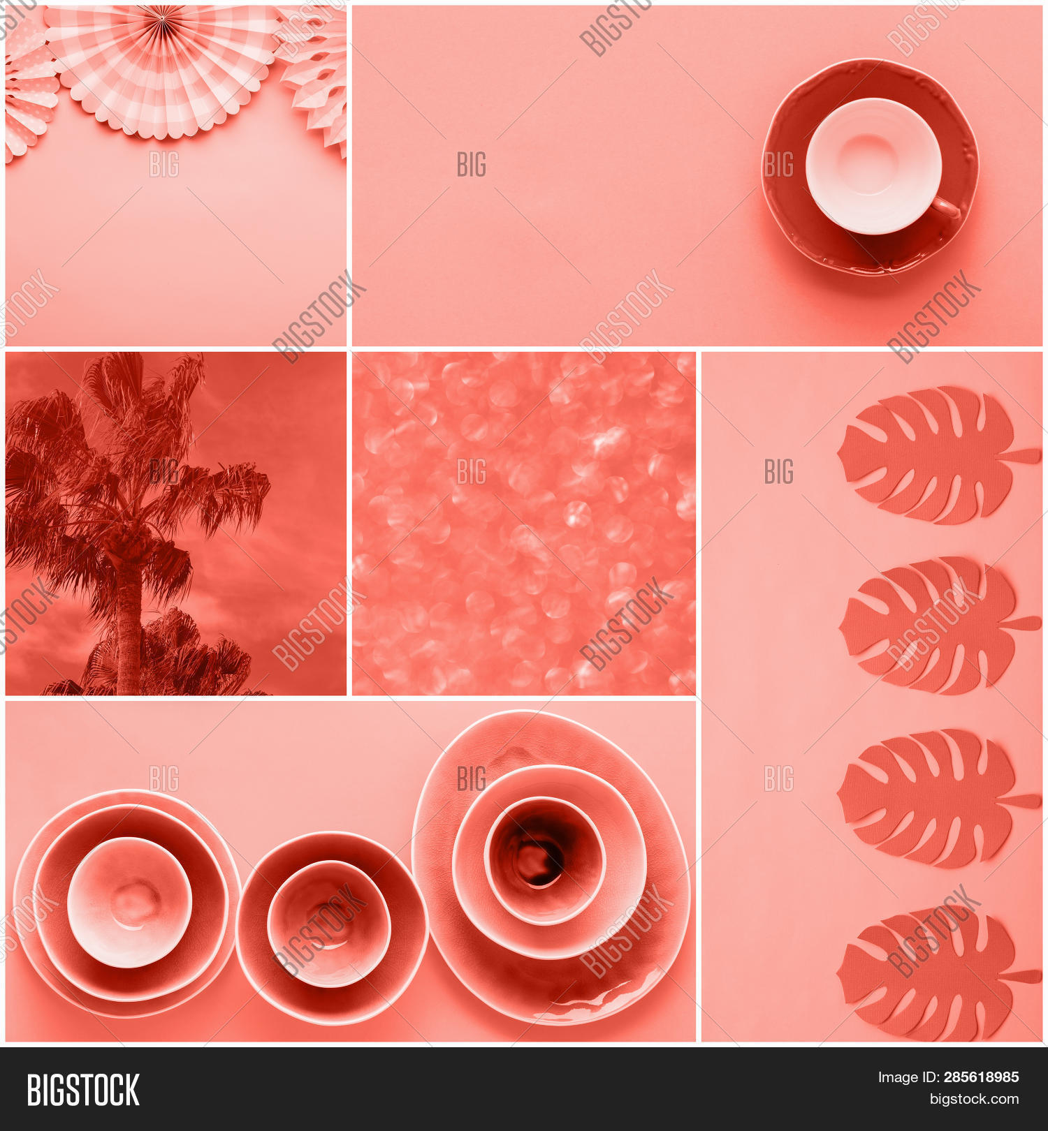 Collage Trendy Coral Image & Photo (Free Trial) | Bigstock