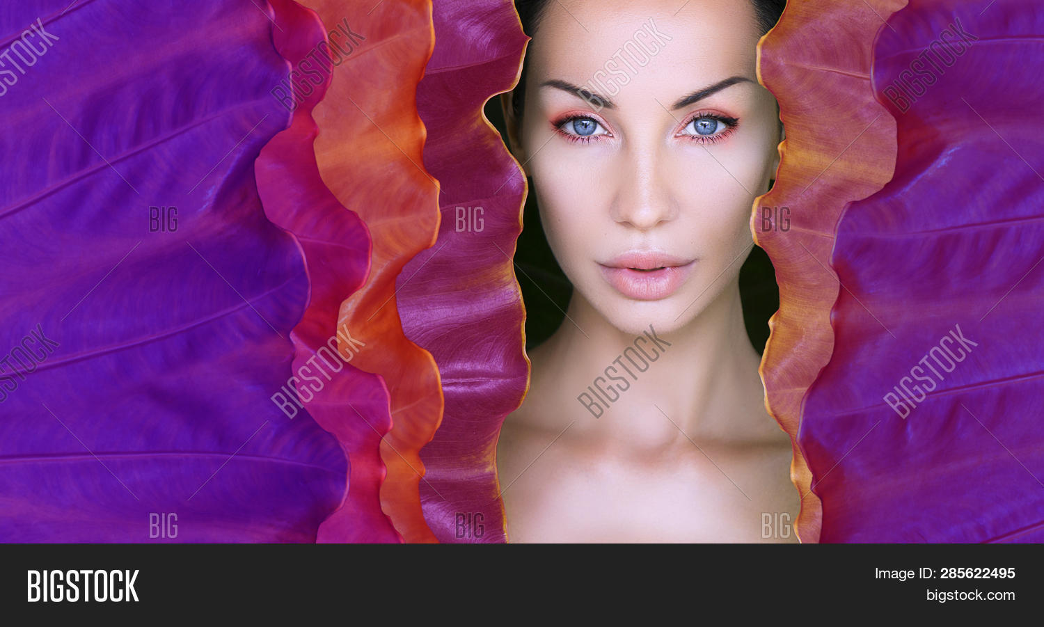Woman's Face Image & Photo (Free Trial) | Bigstock