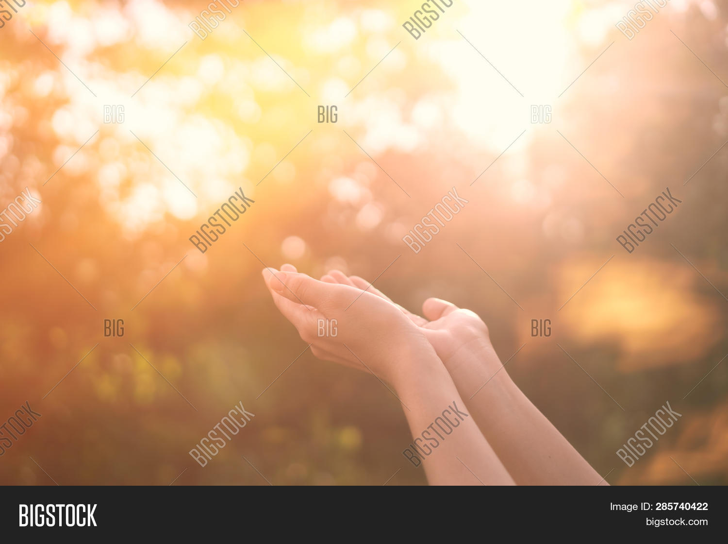 Woman Open Hand Sunset Image & Photo (Free Trial) | Bigstock