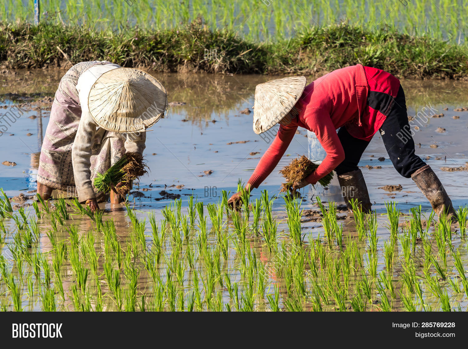 Local Villagers Image & Photo (Free Trial) | Bigstock